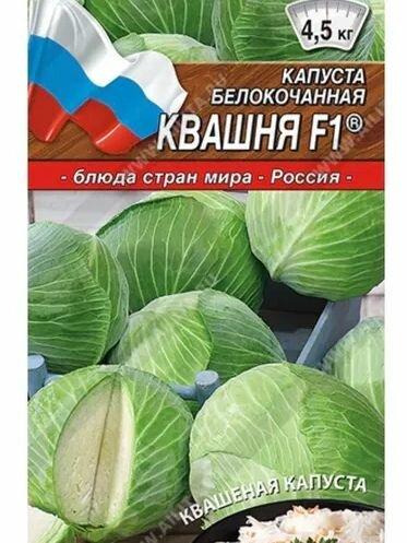 Семена капуста белокочанная Квашня F1, Агрофирма Аэлита