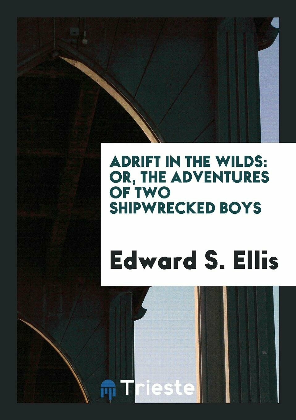 Adrift in the Wilds. Or, The Adventures of Two Shipwrecked Boys