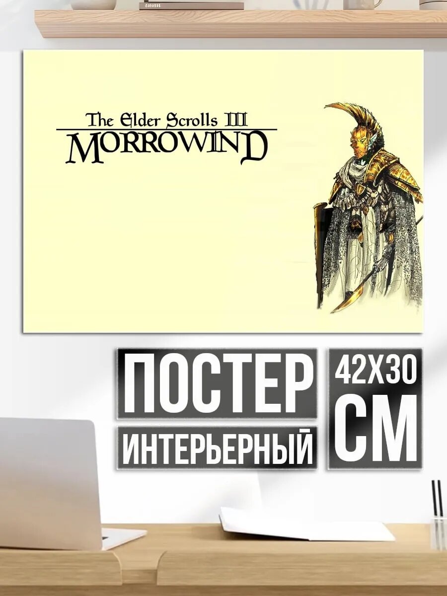 Плакат постер Морровинд Тамриэльский воин