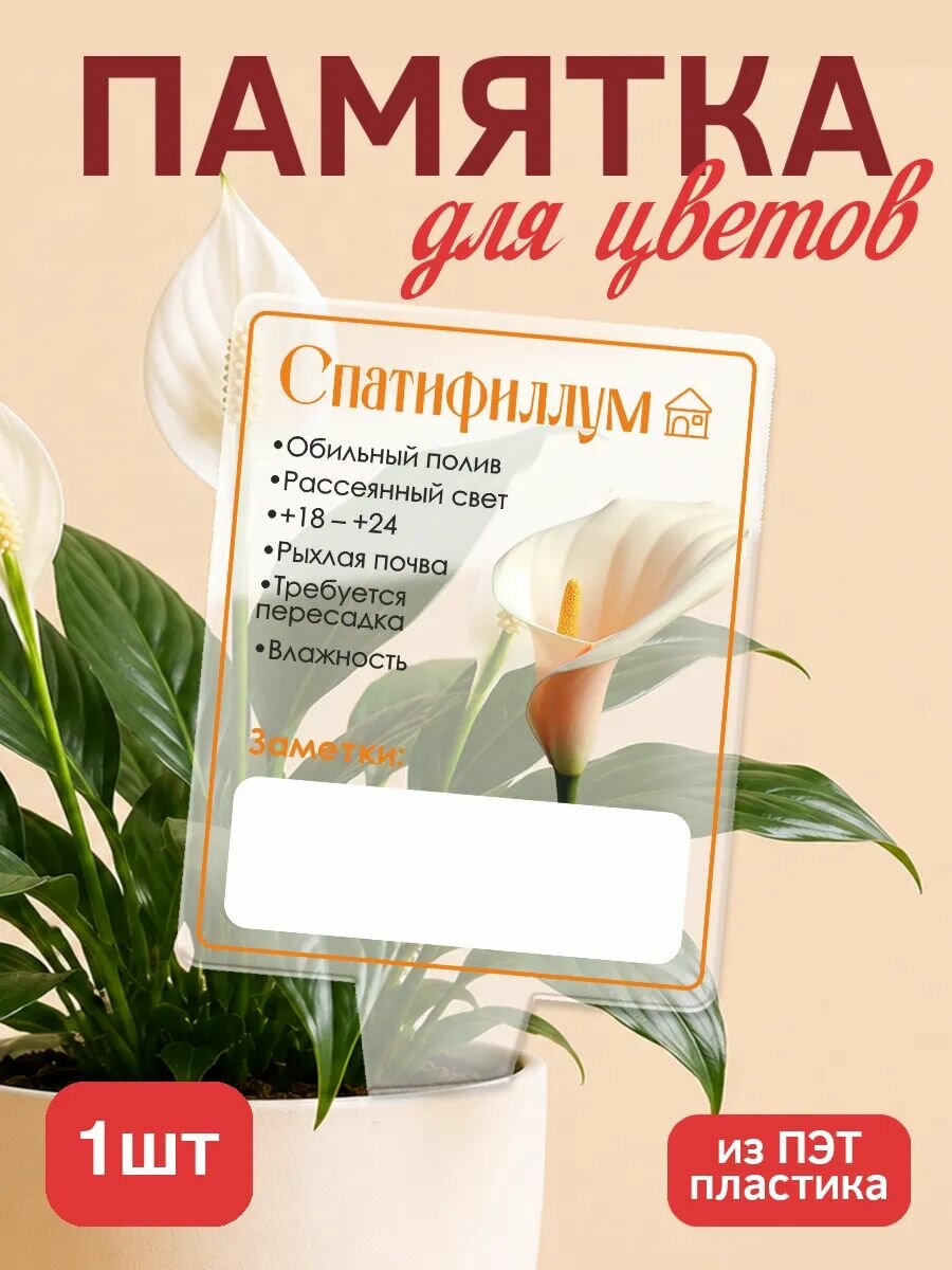 Памятка по уходу за цветами Спатифиллум