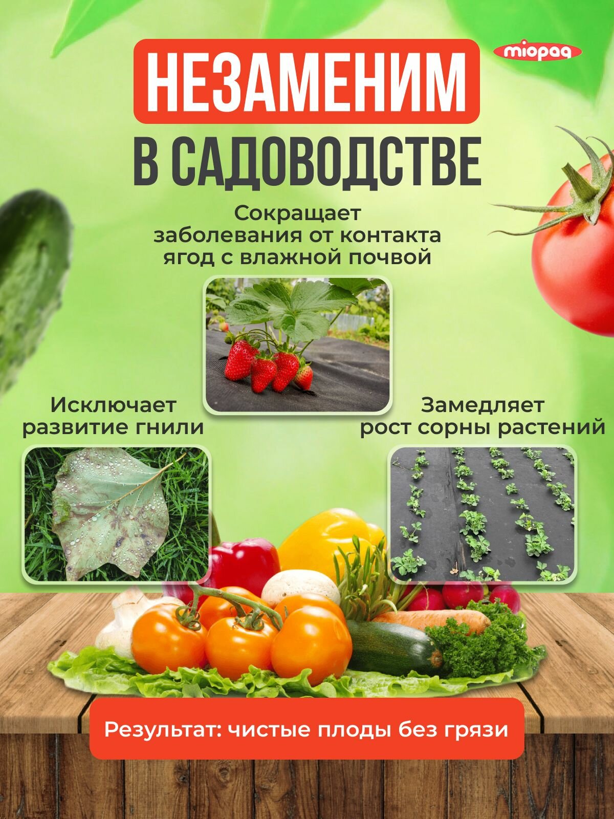 Укрывной материал от сорняков 1,6х0.5м / Спанбонд черный Геотекстиль садовый для дорожек / Агроткань от сорняков