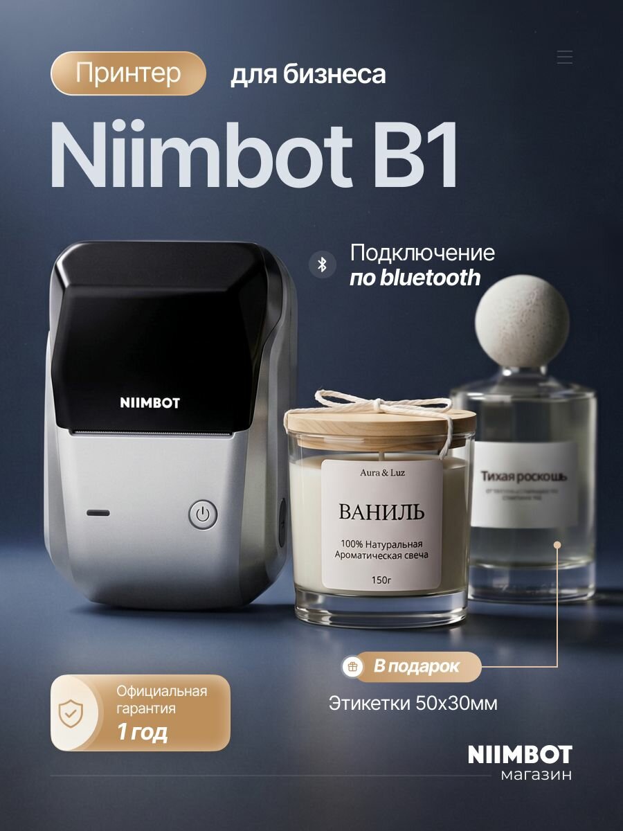 Термопринтер для этикеток и наклеек Niimbot B1 серебристый, беспроводной + рулон этикеток 50x30 мм