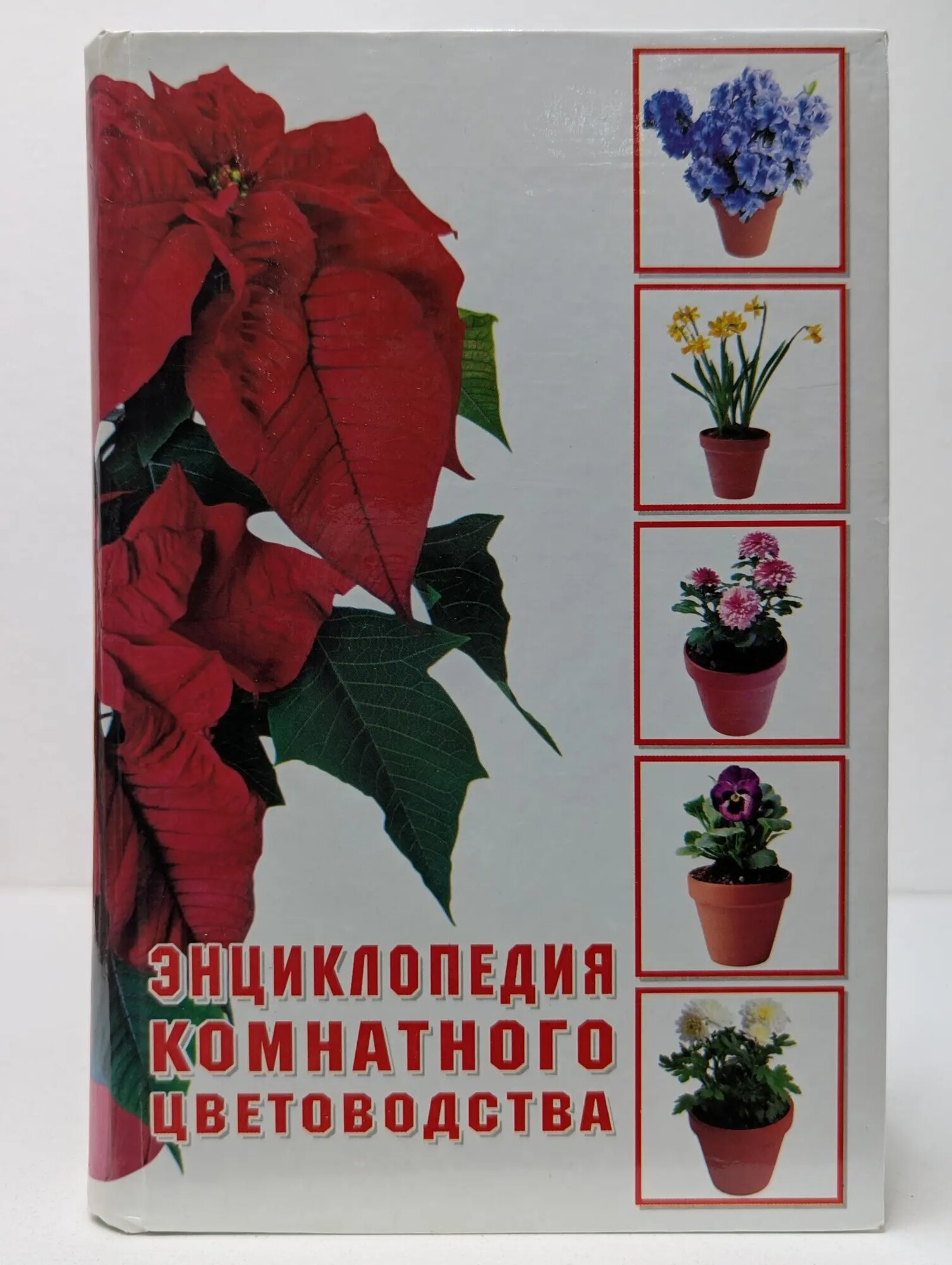 Энциклопедия комнатного цветоводства Цветкова Мария Всеволодовна 2006