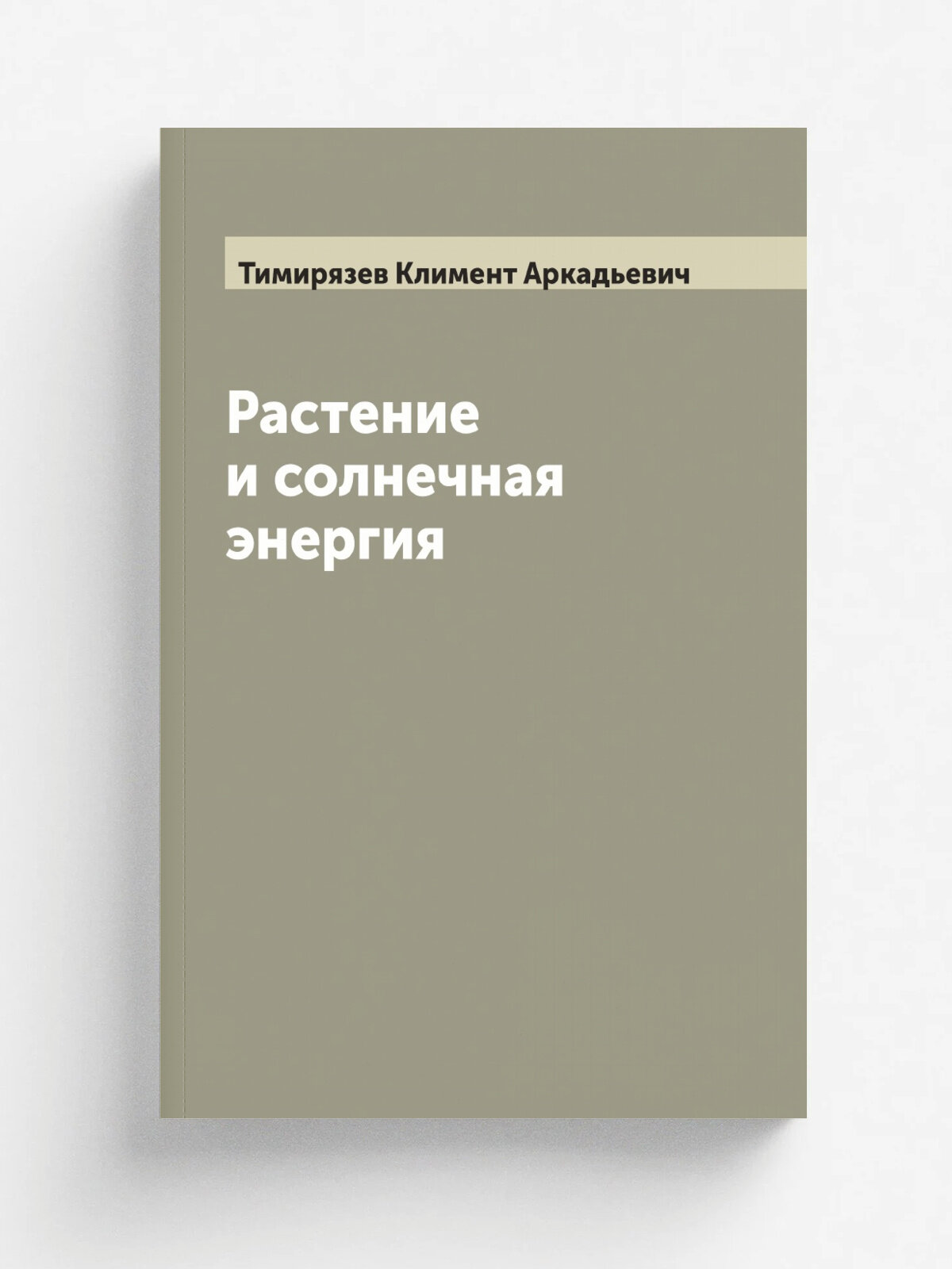 Растение и солнечная энергия