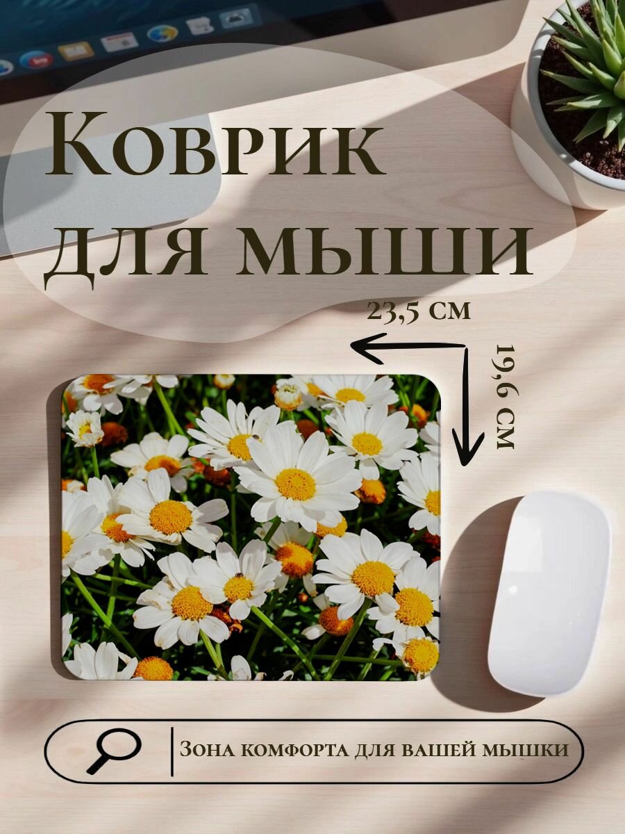 Коврик для мыши Белые ромашки на лугу