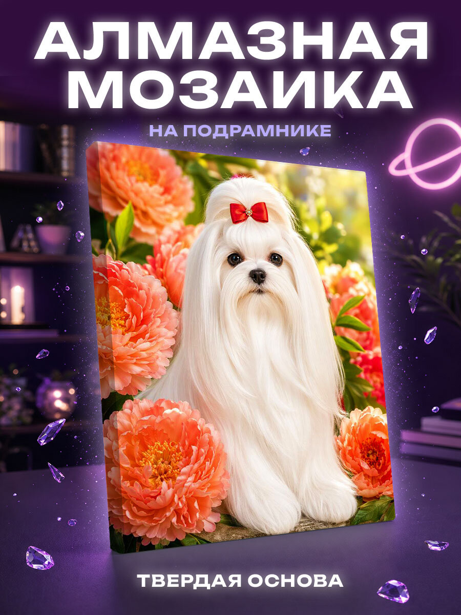 Алмазная мозаика Болонка в пышных пионовидных розах