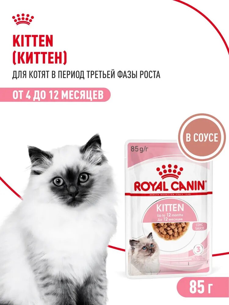 Влажный корм для котят Royal Canin Kitten в соусе 85 г