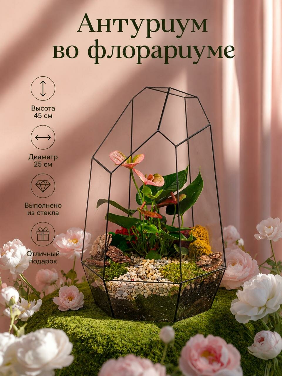 Geo Glass — Антуриум розовый во флорариуме Айсберг, живое растение в стеклянном кашпо Тиффани, высота 45 см, подарок для интерьера