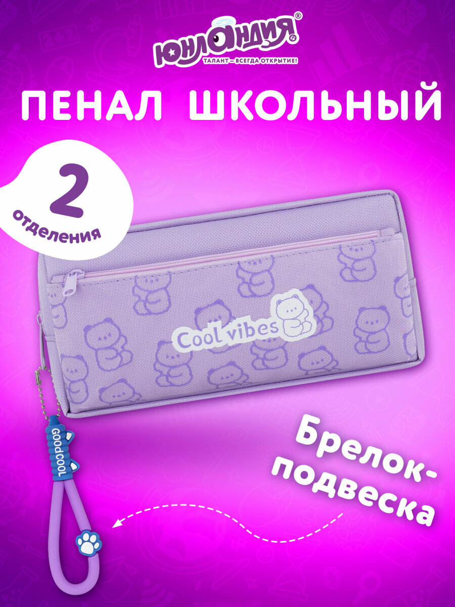 Пенал школьный для девочек, для карандашей и ручек с 2 отделениями, канцелярия для школы, полиэстер, 21х9х8 см, Юнландия, 273821