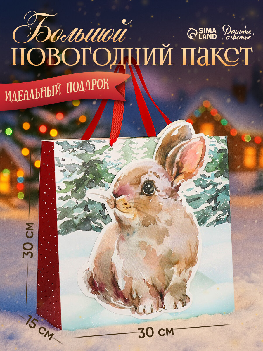 Подарочный пакет новогодний «Зайчик», 30 х 30 х 15 см, для упаковки подарка на Новый год