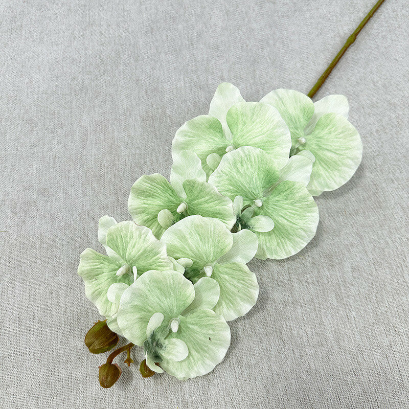 Butterfly orchid artificial plant for photography studio use with stylish color options for home decor, green