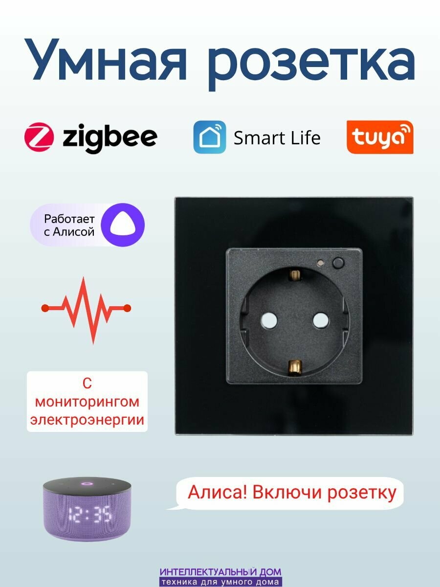 Умная ZigBee розетка 16А голосовое управление Алиса Маруся Салют встраиваемая черная