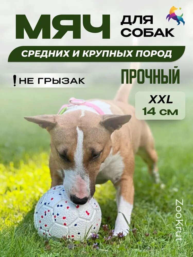 Мячик ZooKrut, для собак, средних и крупных пород, разноцветный, 14см