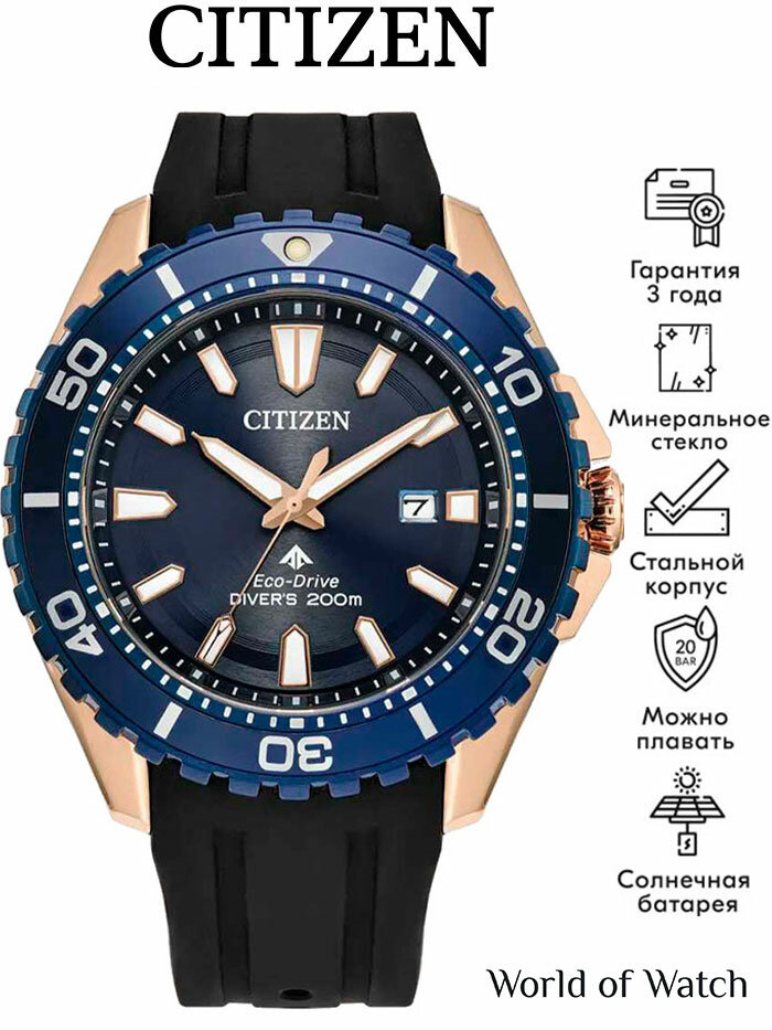 Наручные часы Promaster