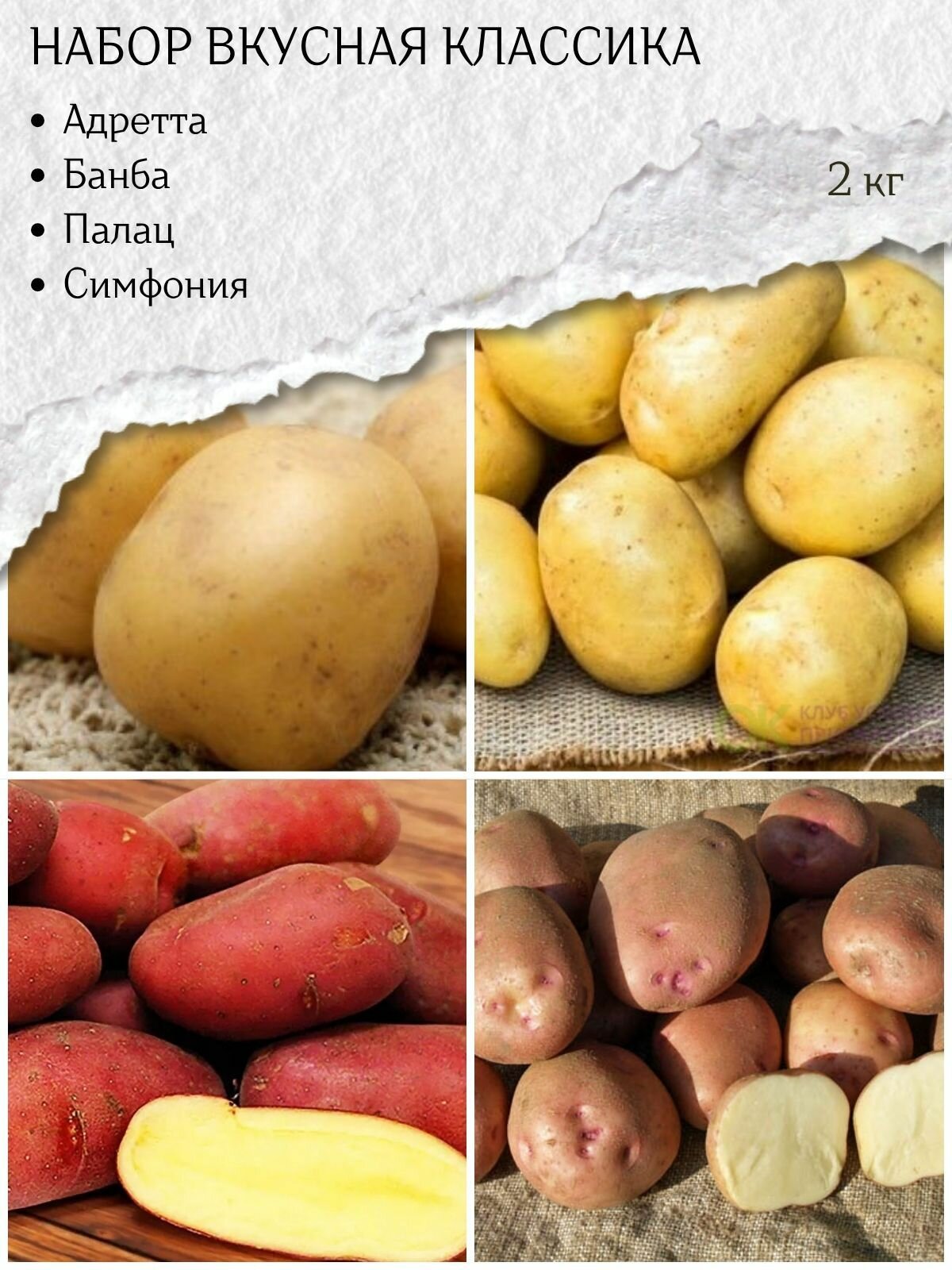 Набор картофеля из 4х сортов "Вкусная классика" (белый, красный)