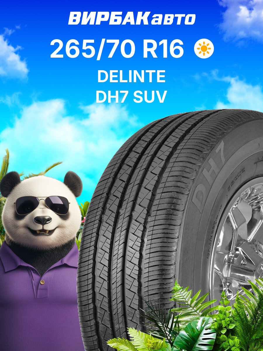 Летние шины DELINTE DH7 SUV 265/70 R16 112H