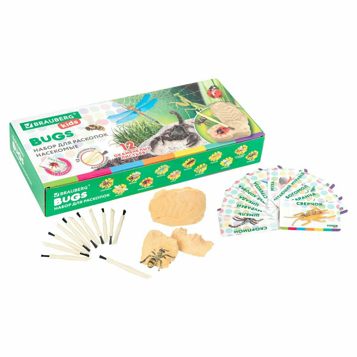Набор для раскопок Brauberg Kids "Насекомые", 12 видов, карточки, инструменты (665127)