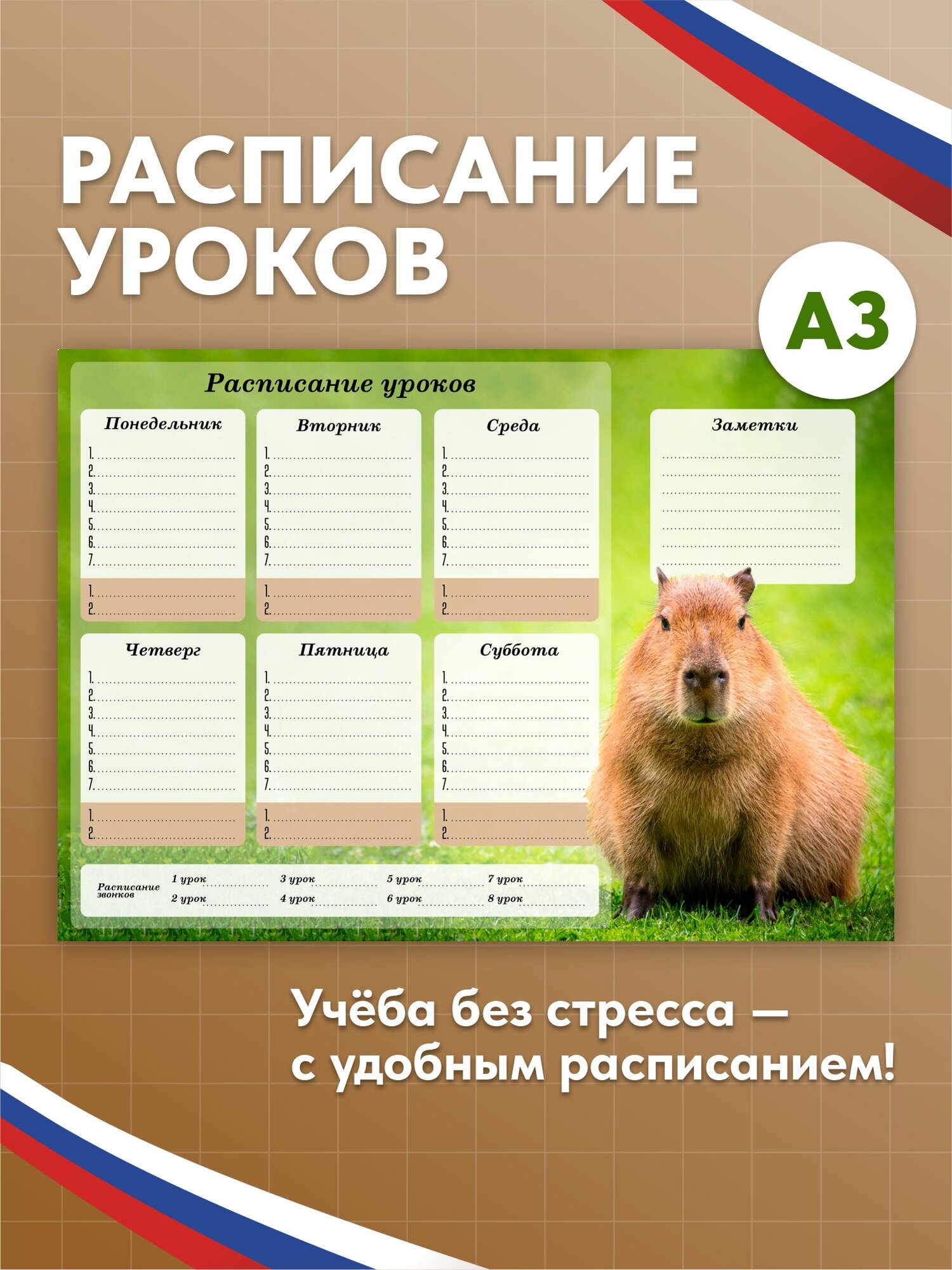 Расписание уроков Капибара