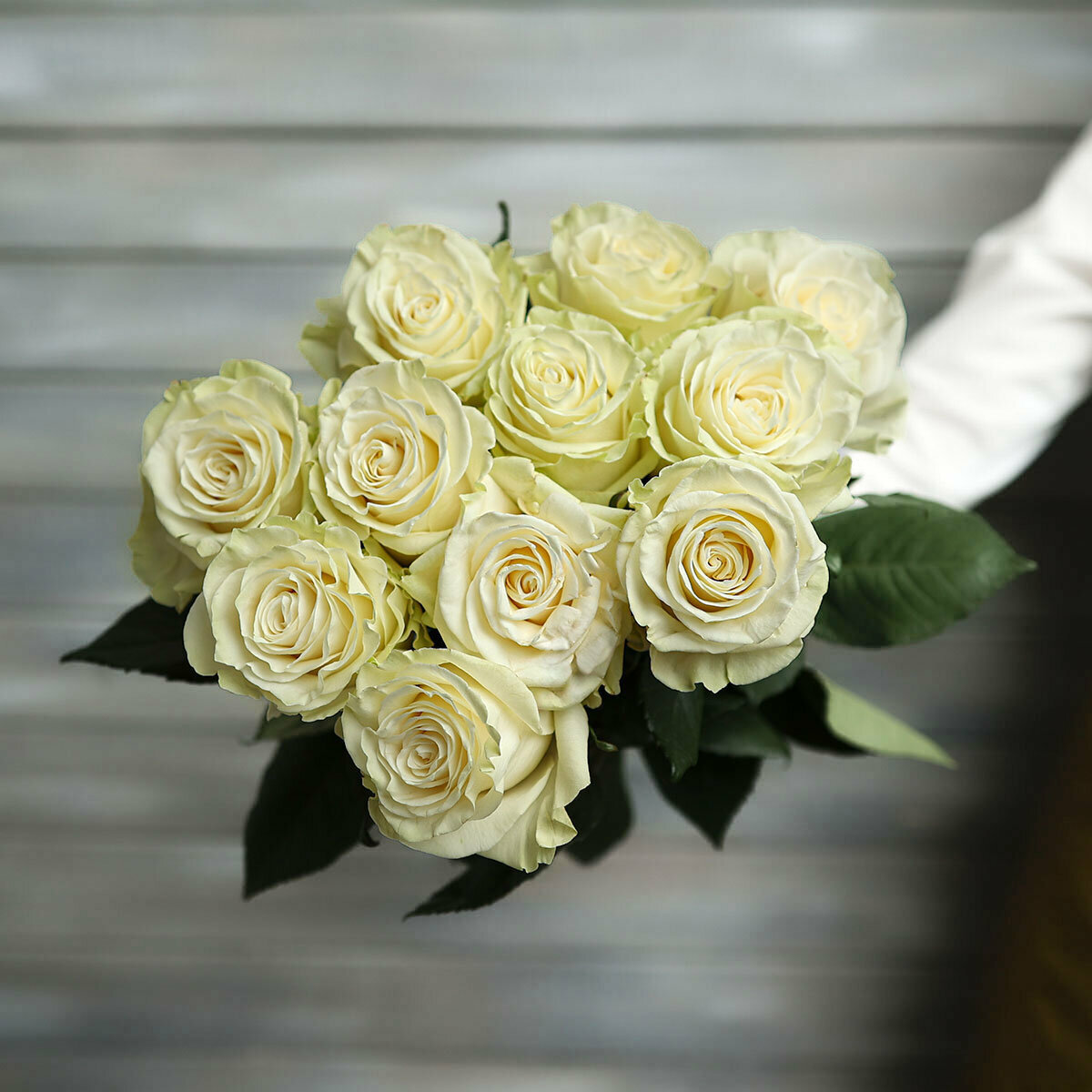 11 белых роз Эквадор, высота 50 см, монобукет от Букет Маркет