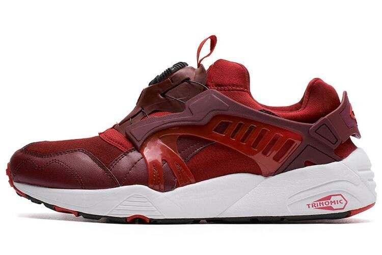 Кроссовки Disc Blaze