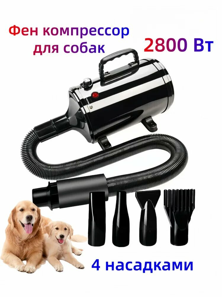 Фен компрессор для собак с густой шерстью 2800 Вт Фен-компрессор для сушки собак и кошек с 4 насадками.