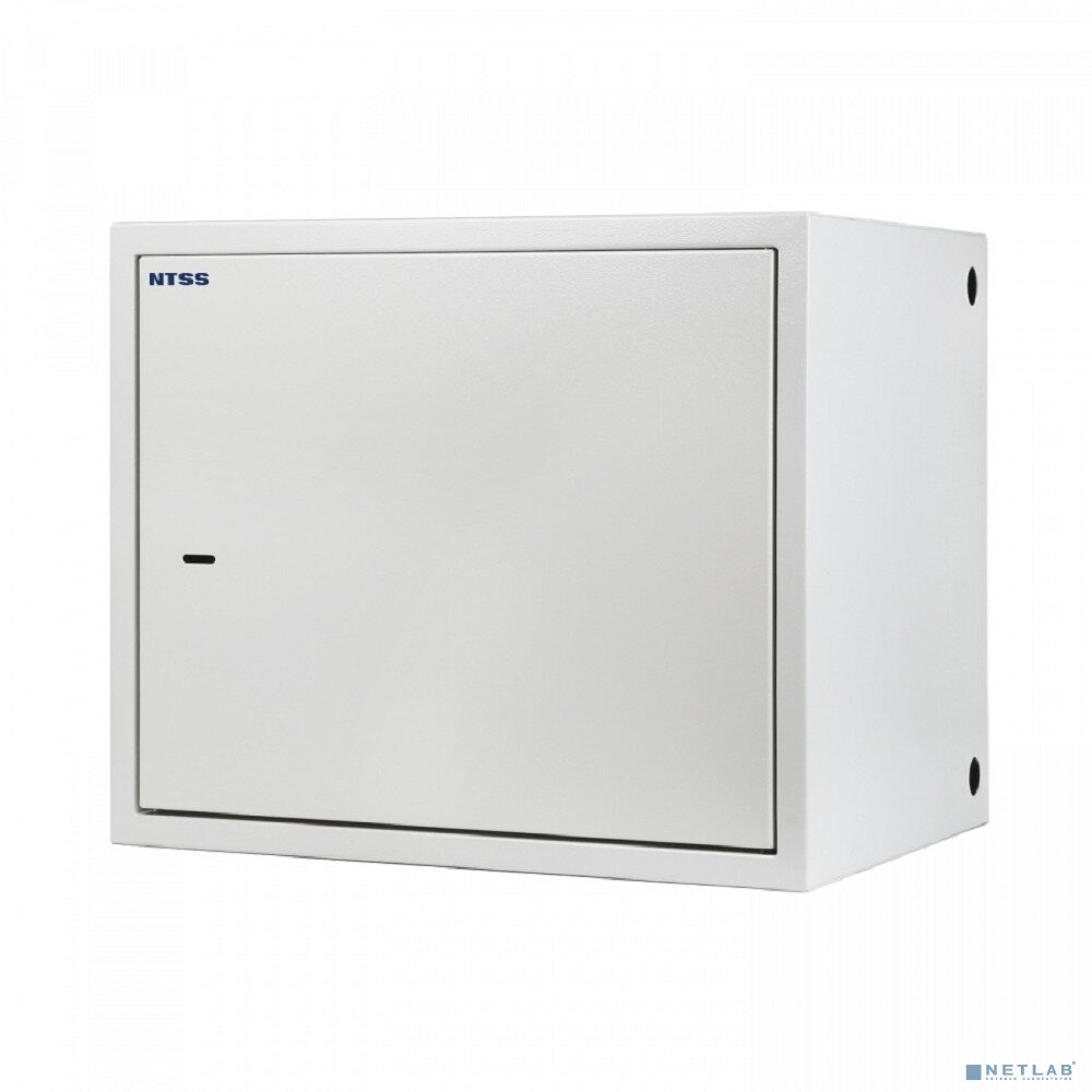 NTSS Шкаф настенный антивандальный распашной NTSS WAR 10U 600*500мм, 2 профиля 19, сварной, серый RAL 7035 NTSS-WAR10U6050