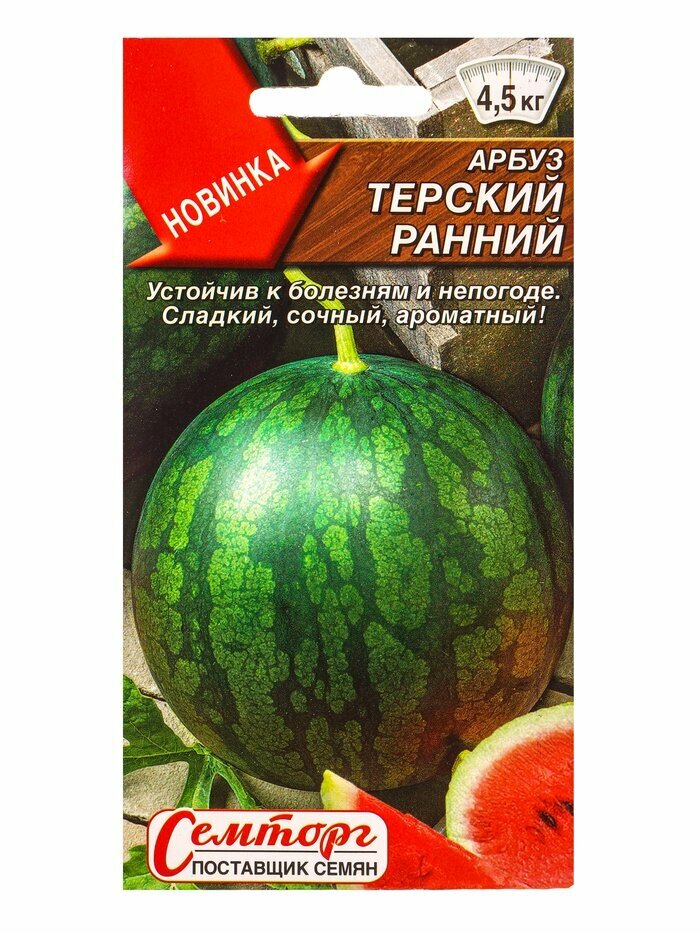 Семена Арбуз Терский ранний Семторг, Ц/П СТ,10 шт. 10944879