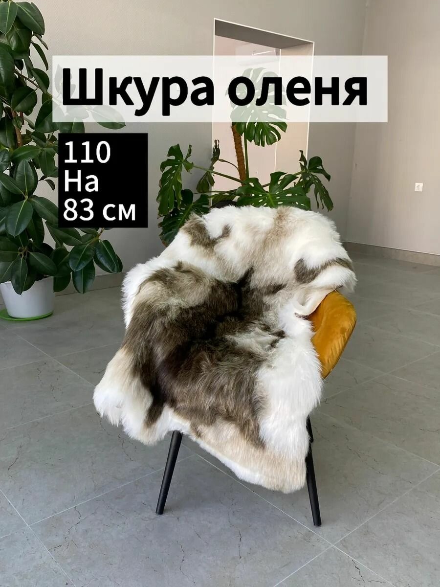 Шкура
