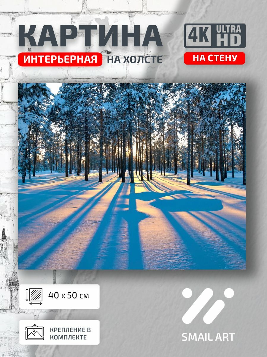 Картина на холсте интерьерная 40 на 50 на стену Снег Landscape для кафе пейзаж интерьер