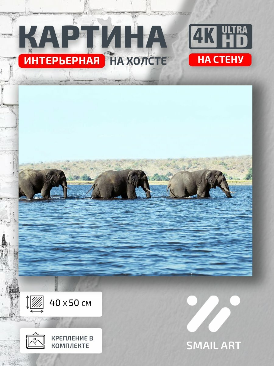 Картина на холсте интерьерная 40 на 50 на стену Реку Animal для кабинета animal style декор
