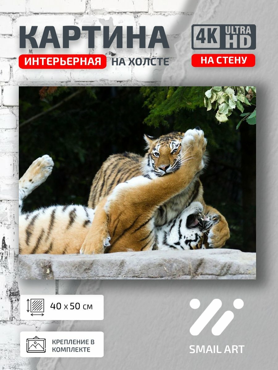 Картина на холсте интерьерная 40 на 50 на стену Тигры tigers для кабинета animal style