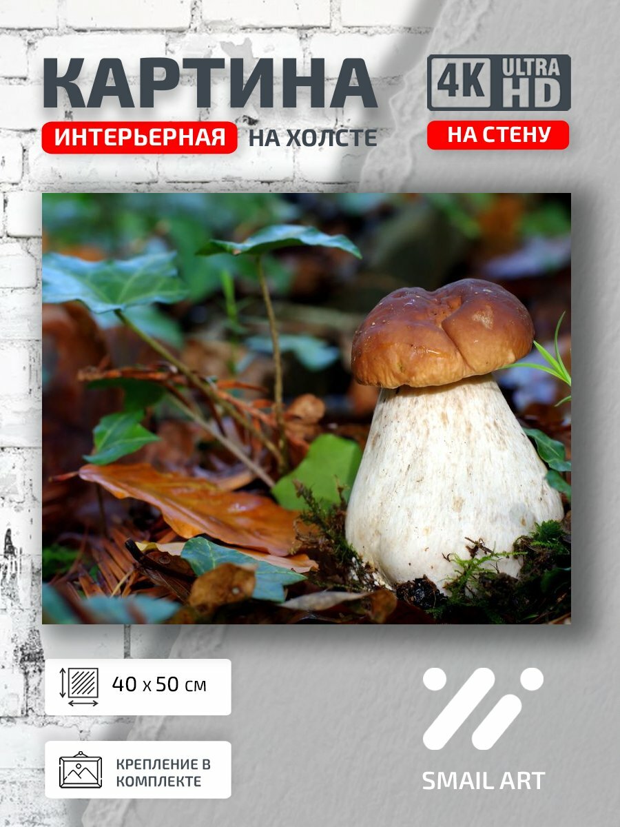 Картина на холсте интерьерная 40 на 50 на стену Боровик Landscape для кафе пейзаж интерьер