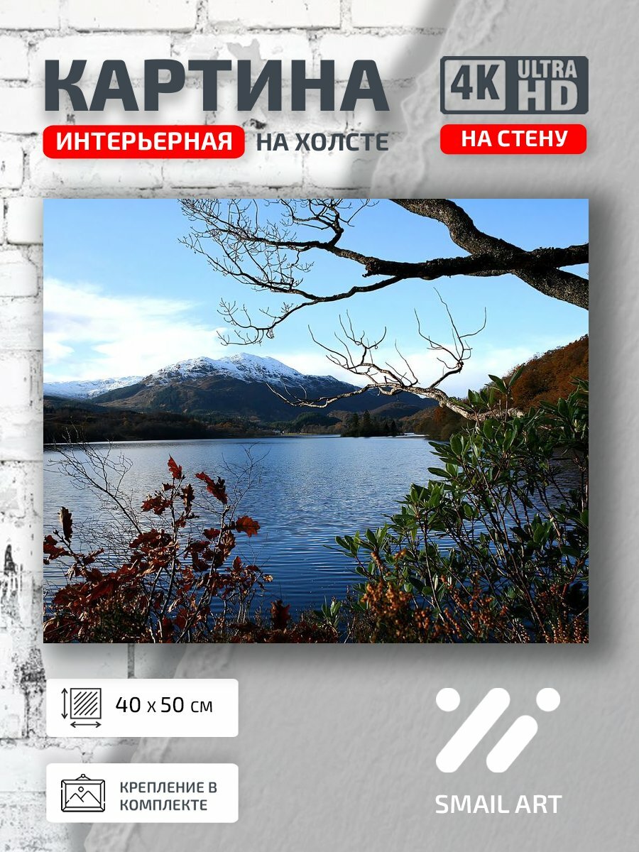 Картина на холсте интерьерная 40 на 50 на стену Кустов Landscape для офиса пейзаж интерьер