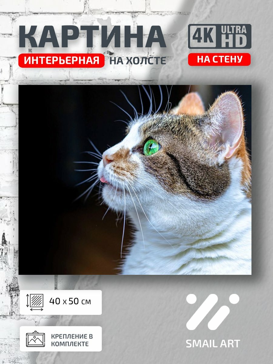 Картина на холсте интерьерная 40 на 50 на стену Морда Animal для детской animal style декор