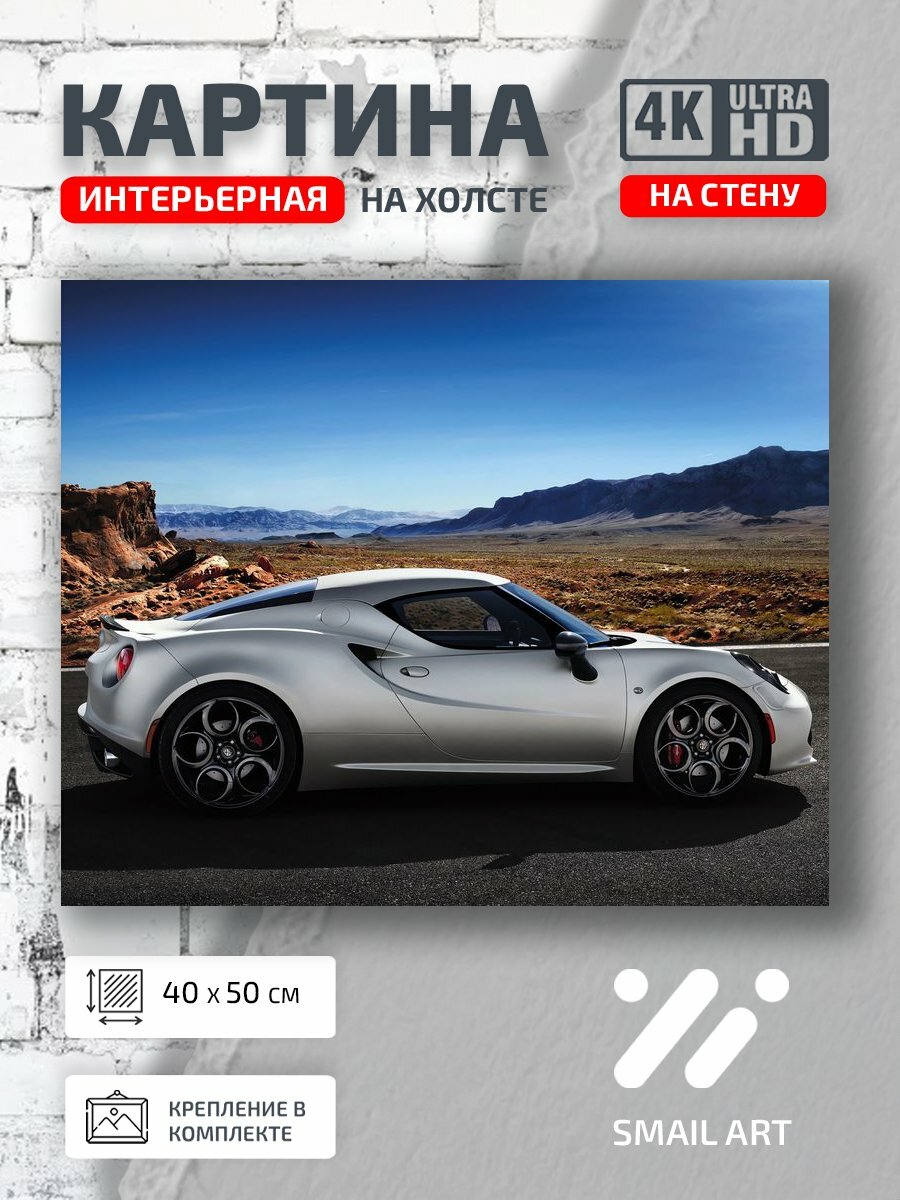 Картина на холсте интерьерная 40 на 50 на стену Автомобиль 4s для киномана авто дизайн