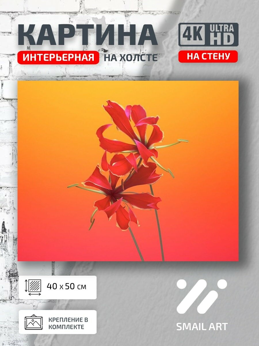 Картина на холсте интерьерная 40 на 50 на стену лилия пламени для спальни атмосфера