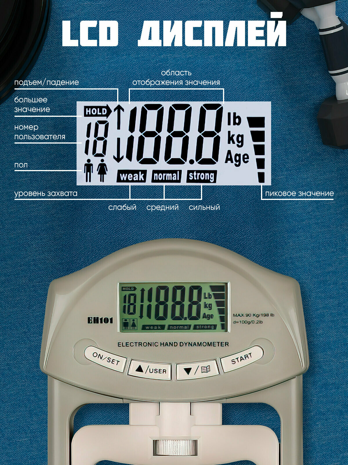 Эспандер — фото 1