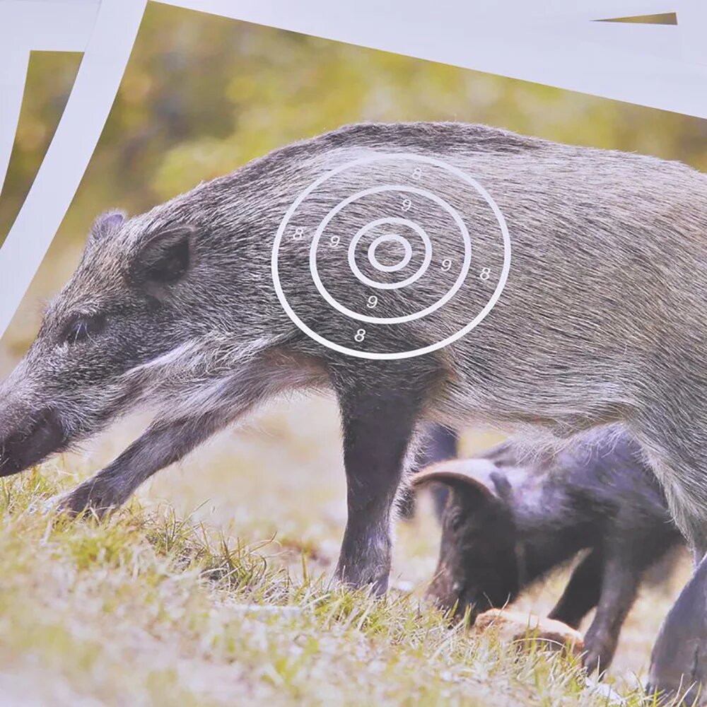 Бумажная мишень для лука с рисунком кабана 40x40 см, 10/20 шт. 20pc