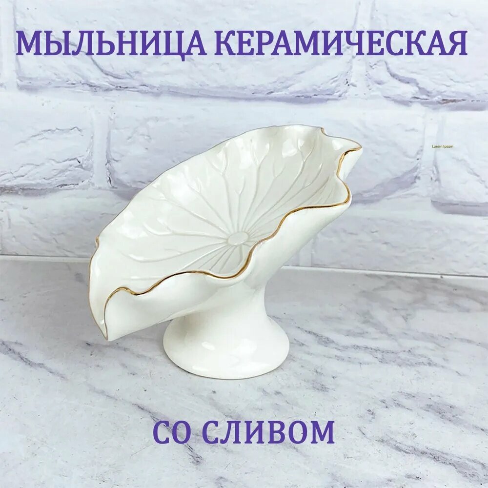 Мыльница