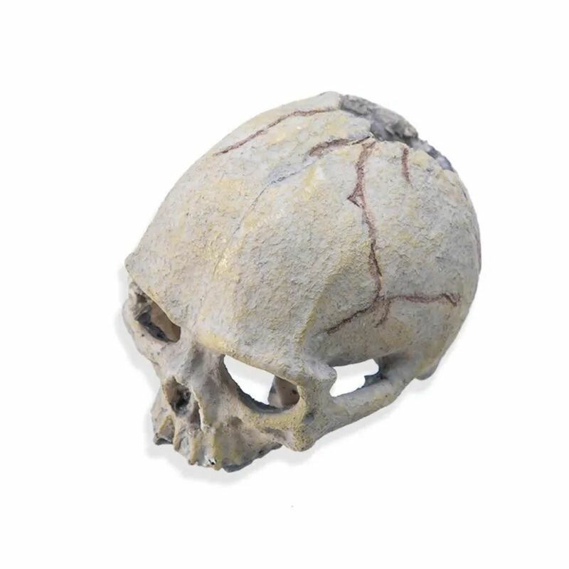 Имитация черепа рептилии, резервуар для разведения рептилий, ландшафтное украшение