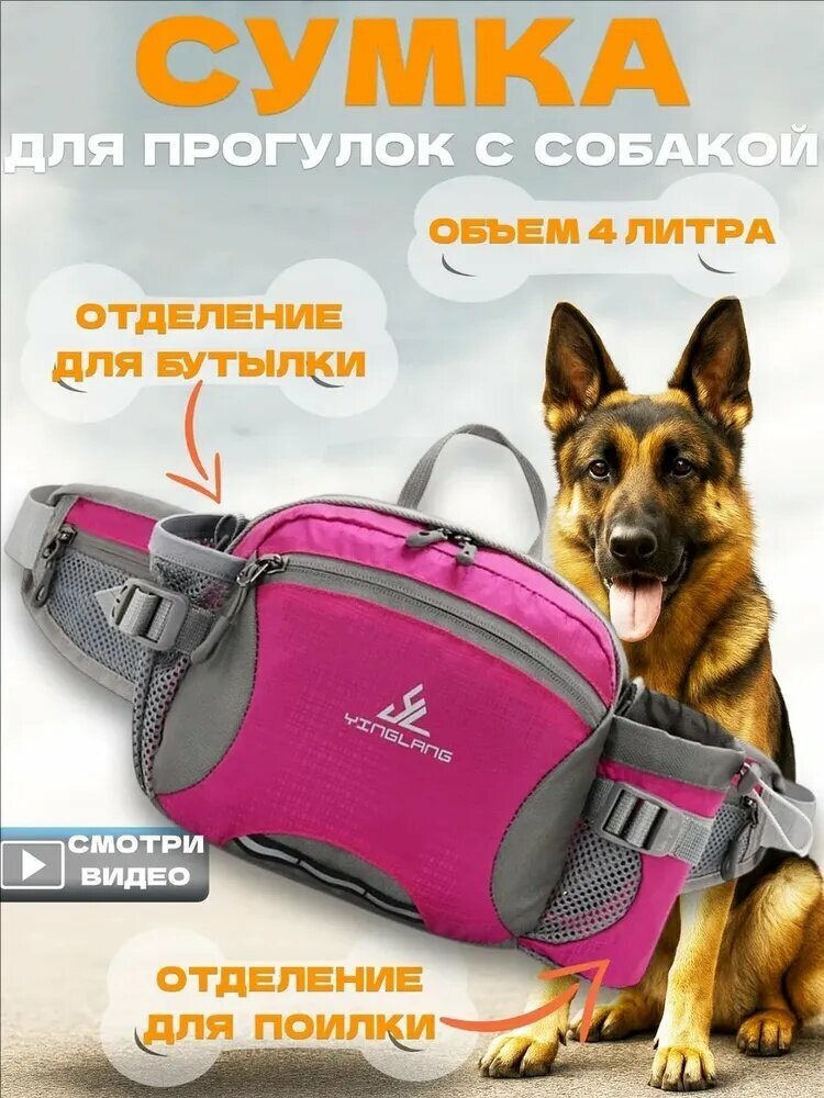 Сумка для лакомств и прогулок с собакой