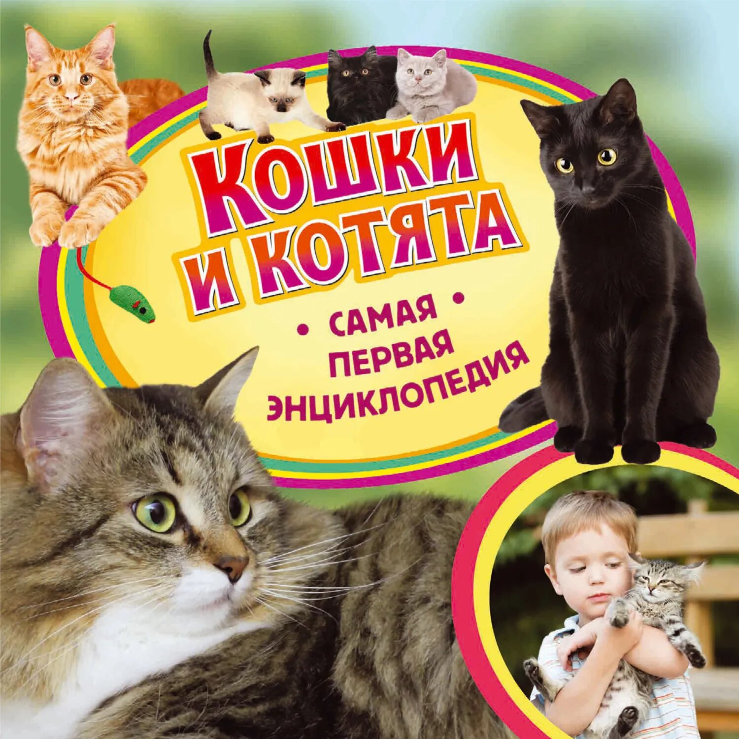 Кошки и котята [Цифровая книга]