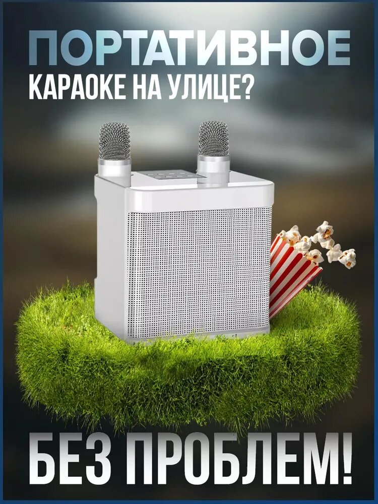 Караоке-система — фото 1