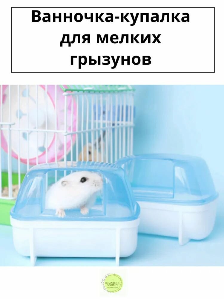 Ванночка купалка для грызунов/Домик для хомяков, декоративных мышек/Туалет для мелких грызунов 12х8,5х5,5 см, цвет голубой