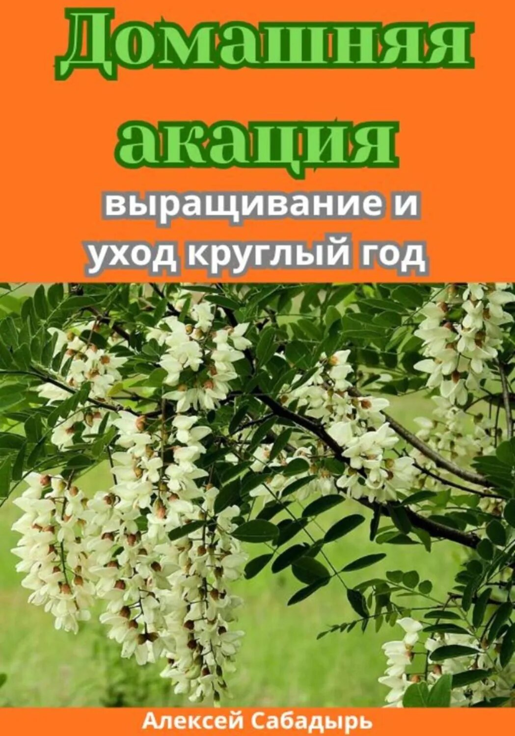 Домашняя акация: выращивание и уход круглый год [Цифровая книга]
