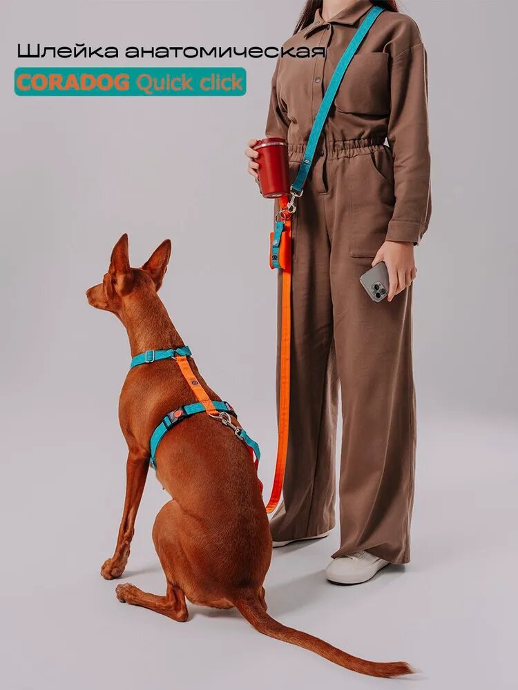 Шлейка прогулочная анатомическая для средних и крупных пород собак, CORADOG Quick click, размер M, цвет бирюзовый, оранжевый