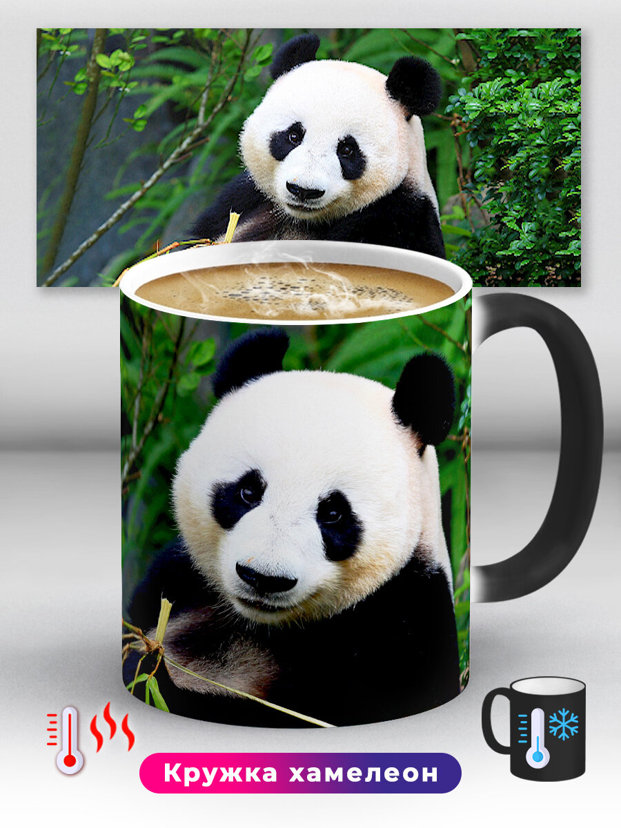 Кружка хамелеон Милая Панда