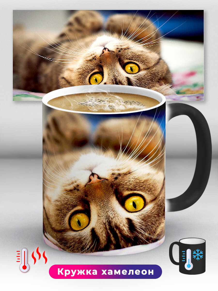 Кружка хамелеон Красивая кошка лежит