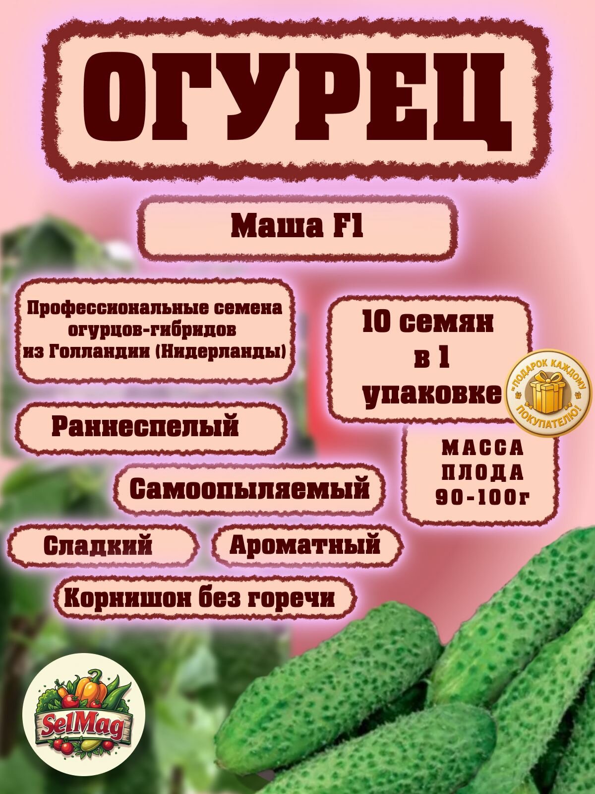 Огурец корнишон Маша F1 Голландские профессиональные семена (10 штук)