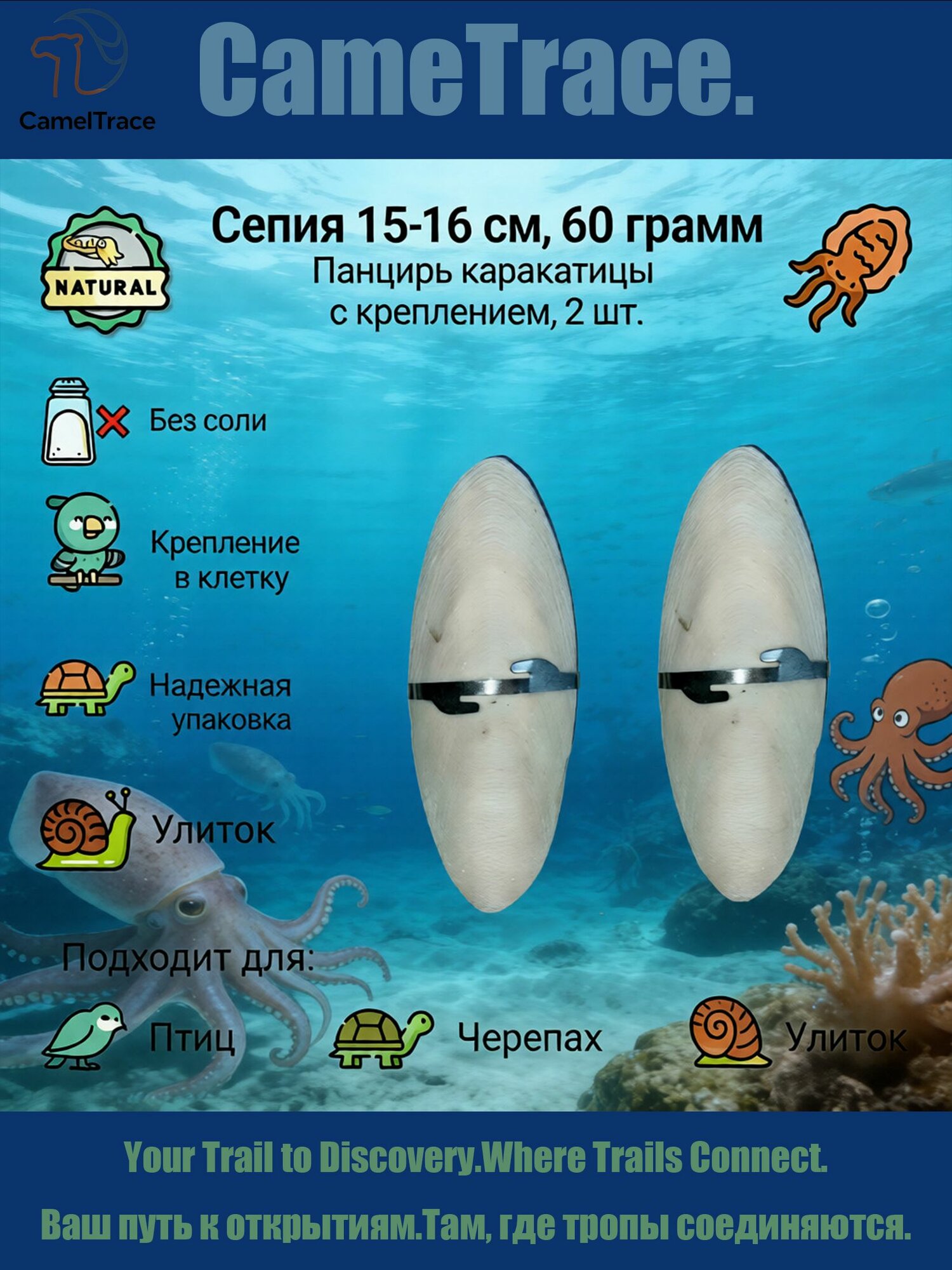 Сепия (кость каракатицы) для птиц и рептилий CamelTrace, 2 шт. Натуральный кальций с креплением, 15-16 см. Для попугаев, черепах, улиток, без соли
